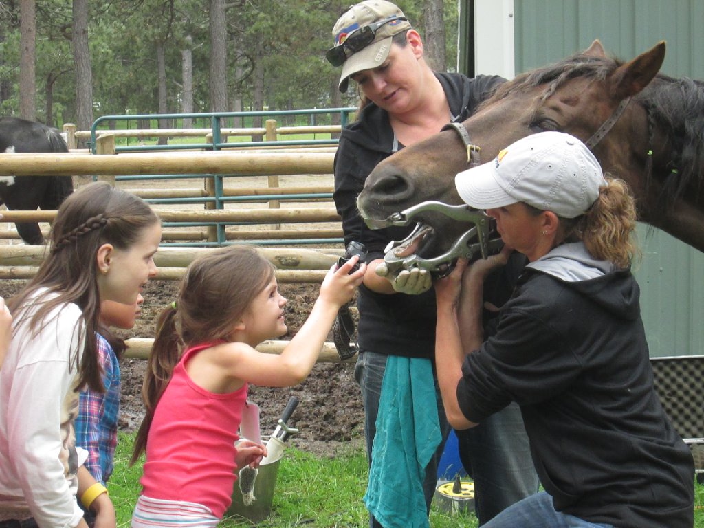 Events and Clinics - Front Range Equine Rescue