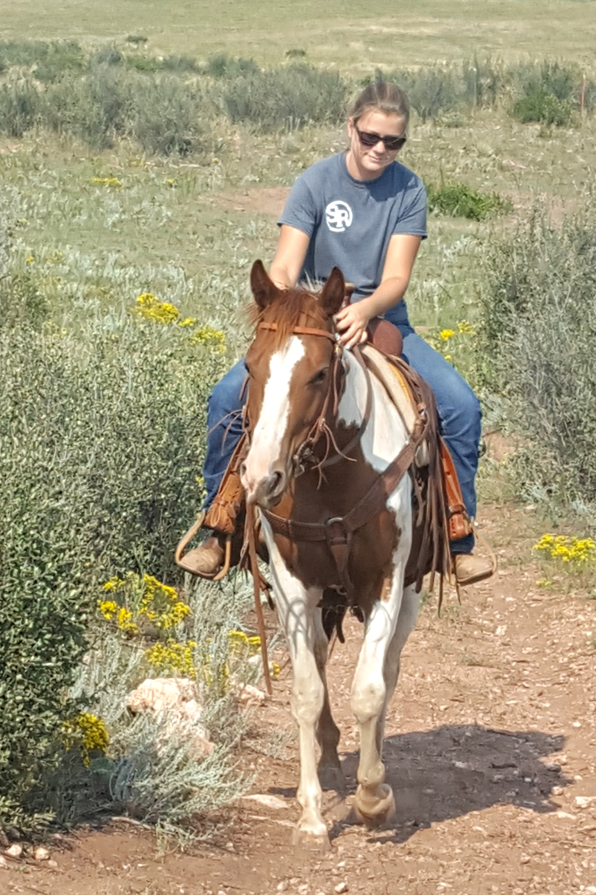 Mick (ADOPTED) - Colorado Rescue Horse Success Story - Front Range ...