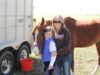 Horse Adoption Program - Front Range Equine Rescue